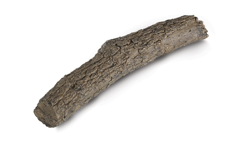 Decorative Accessories - Real Fyre